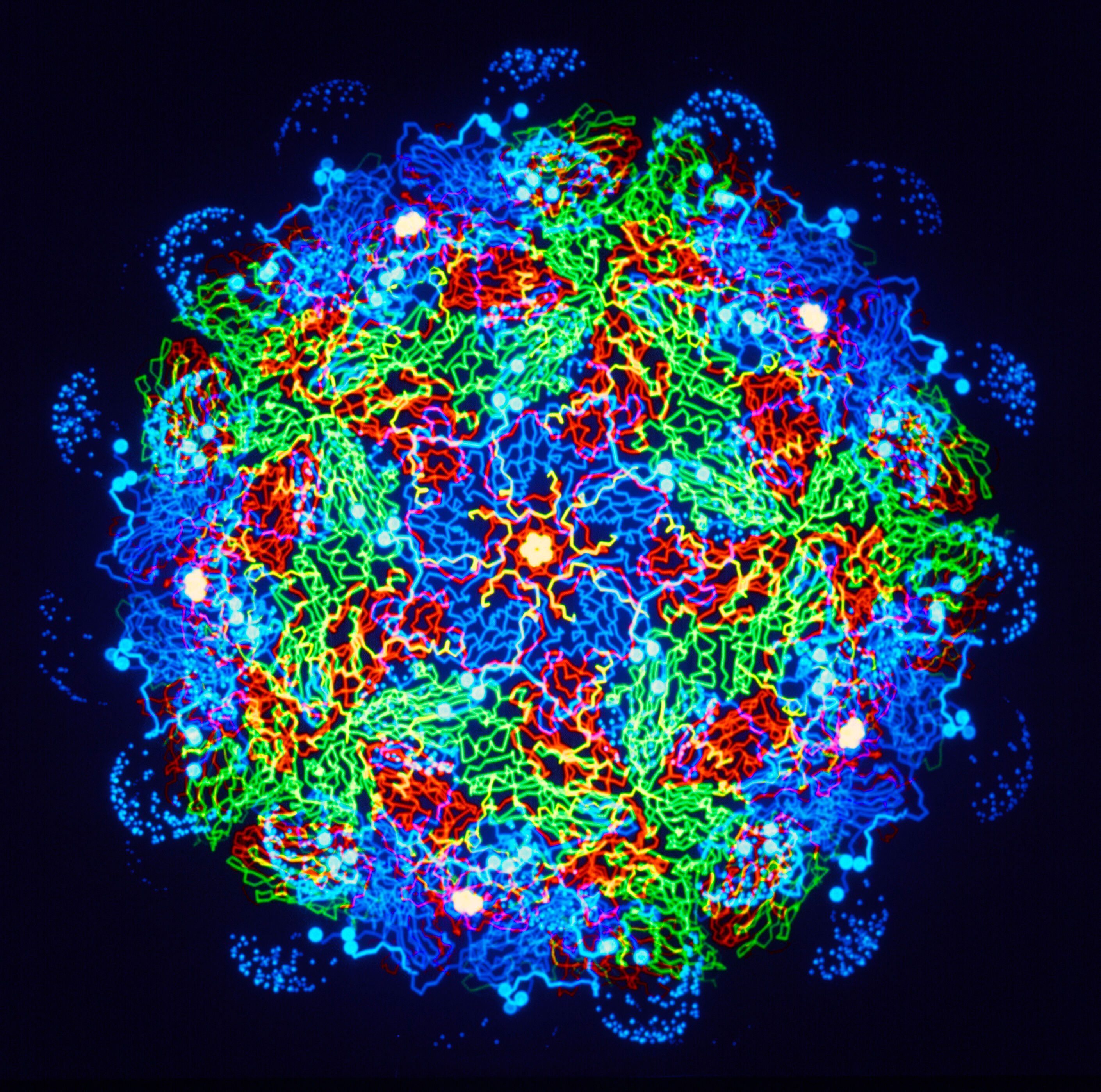 Structure of foot-and-mouth disease virus | Wellcome Collection