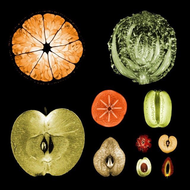 Collage of mixed fruits and vegetables, MRI | Wellcome Collection