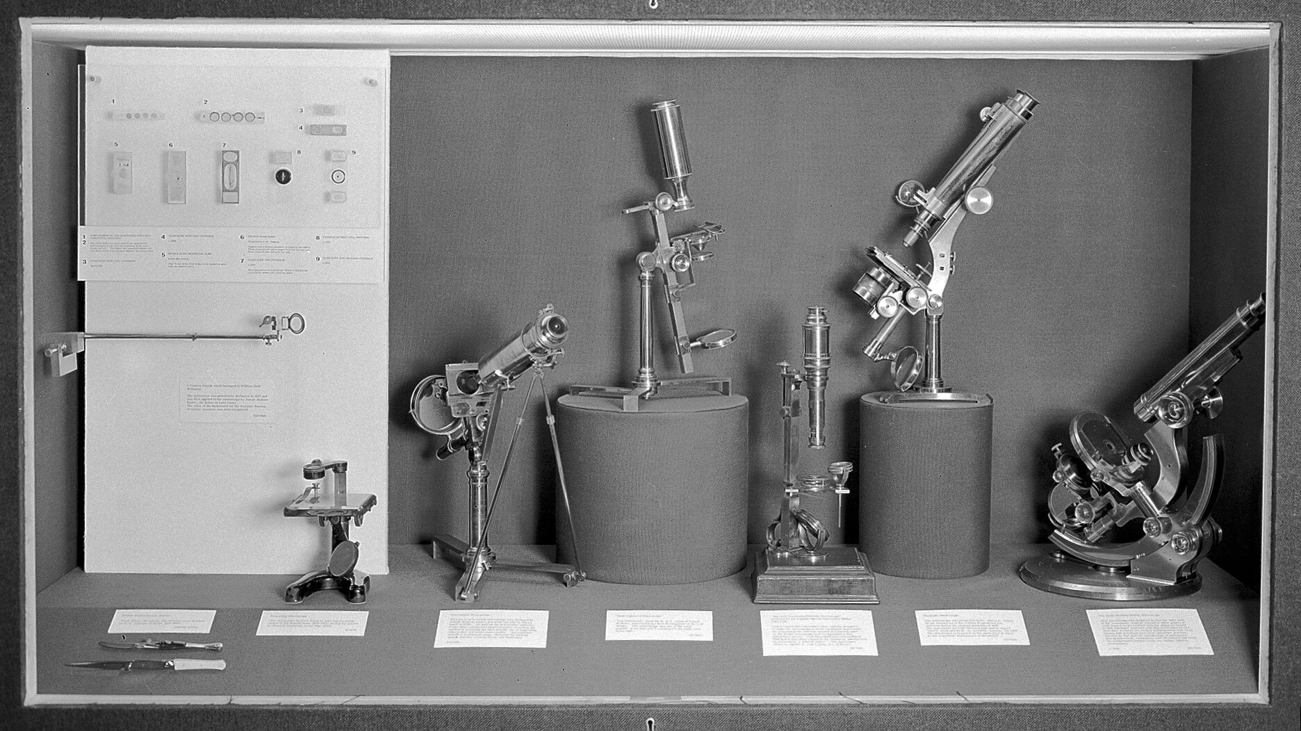 Museum objects from exhibition-various.1972-3 | Wellcome Collection