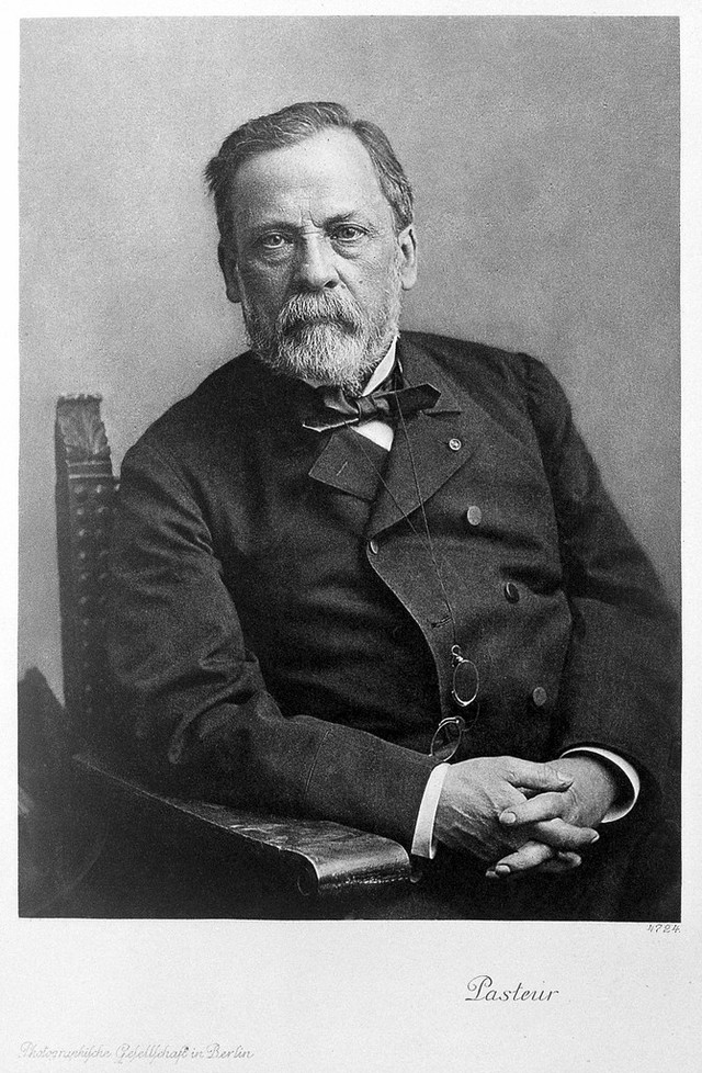 Louis Pasteur [1822 - 1895], microbiologist and chemist | Wellcome ...