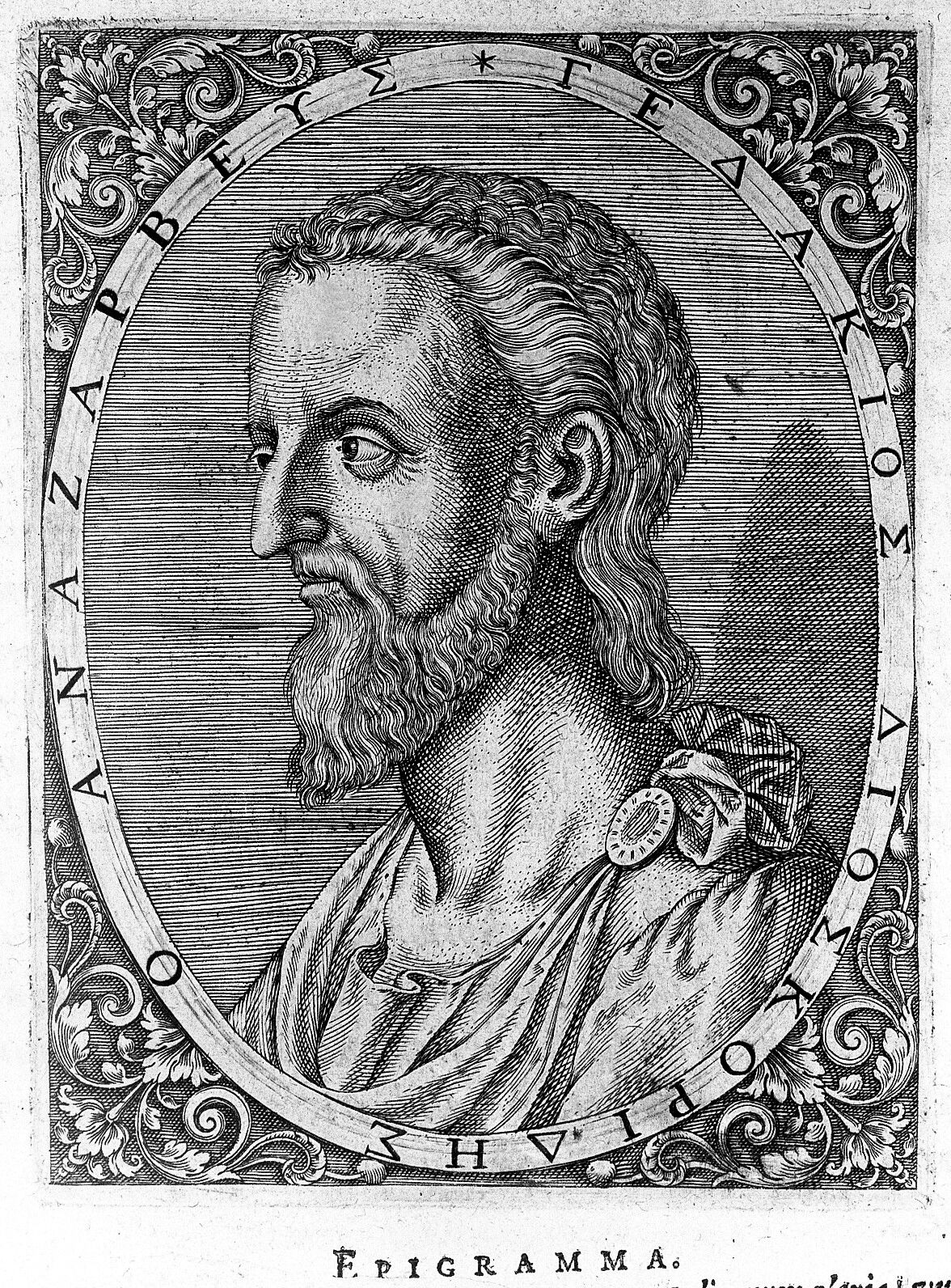 Pedacius?(Pedanios) Dioscorides | Wellcome Collection