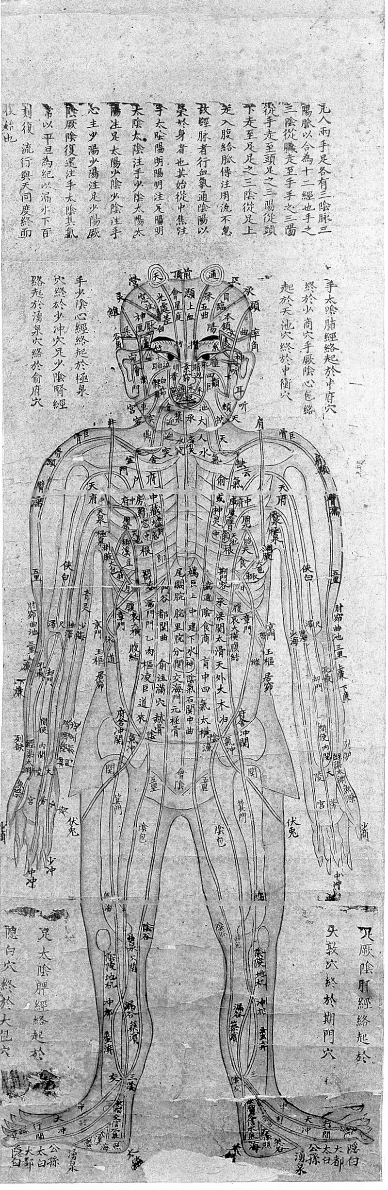 Chinese diagram of human body showing bones | Wellcome Collection