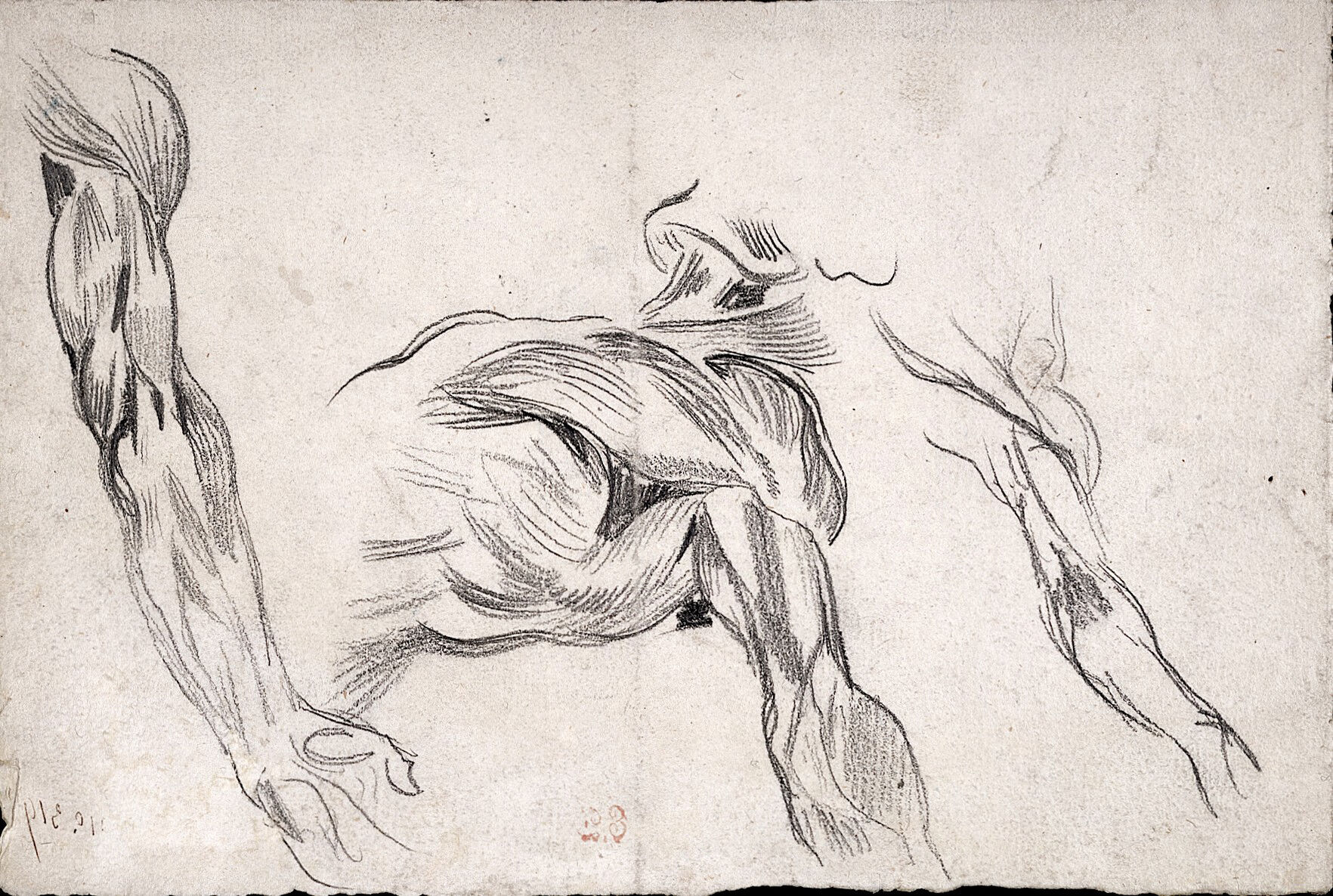 Eugene Delacroix Drawings
