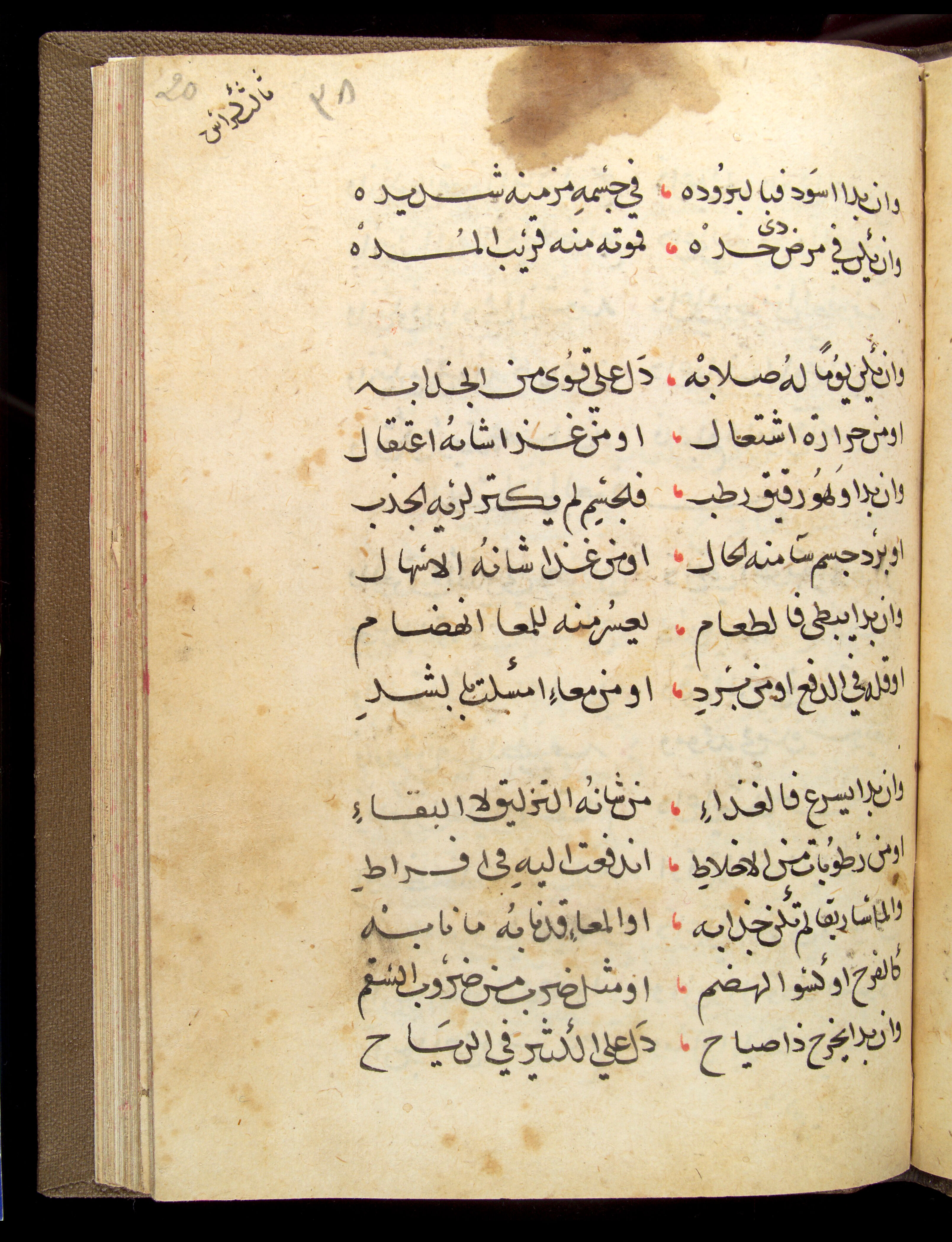 Page from an Arabic Text | Wellcome Collection