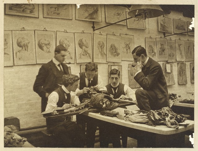 The interior of a dissecting room: five students and/or teachers ...