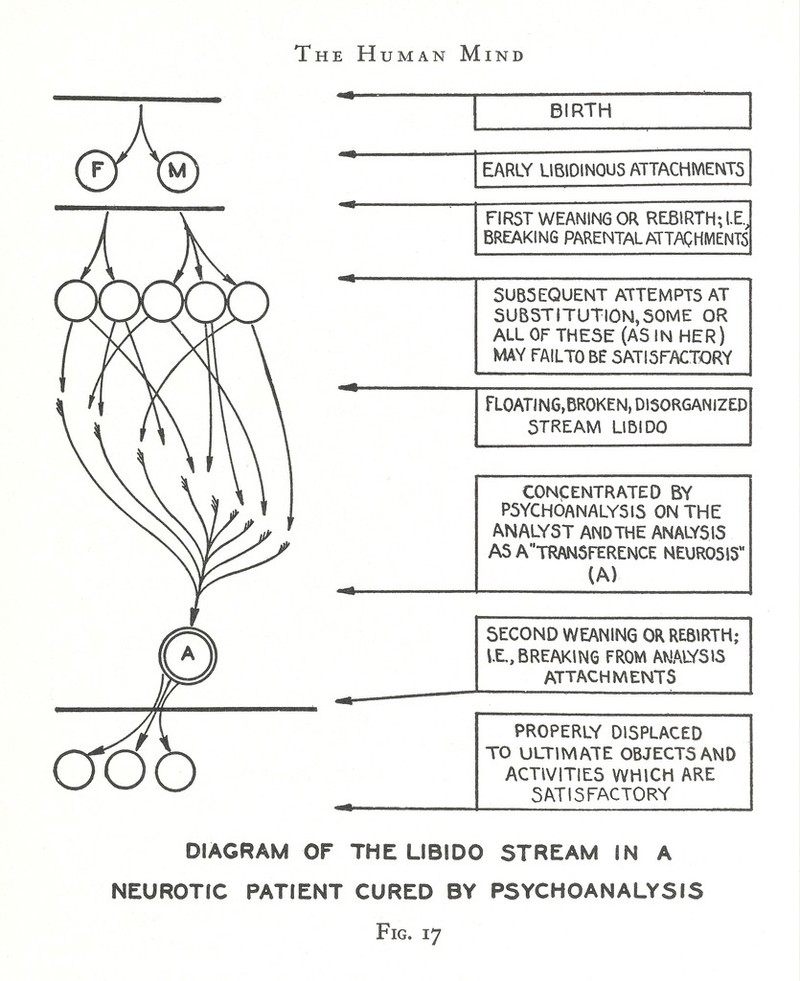 Diagram of the libido stream in a neurotic patient cured by ...
