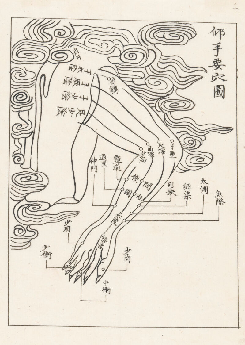 Acupuncture points and meridians. The arm. | Wellcome Collection