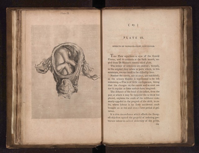 Search | Wellcome Collection