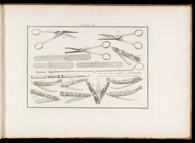 Wellcome Collection | A free museum and library exploring health and ...