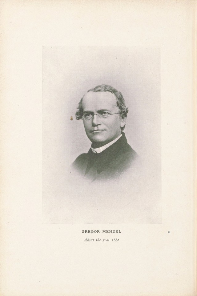 Gregor Mendel, 1862, illustration to biographical note about Mendel in ...
