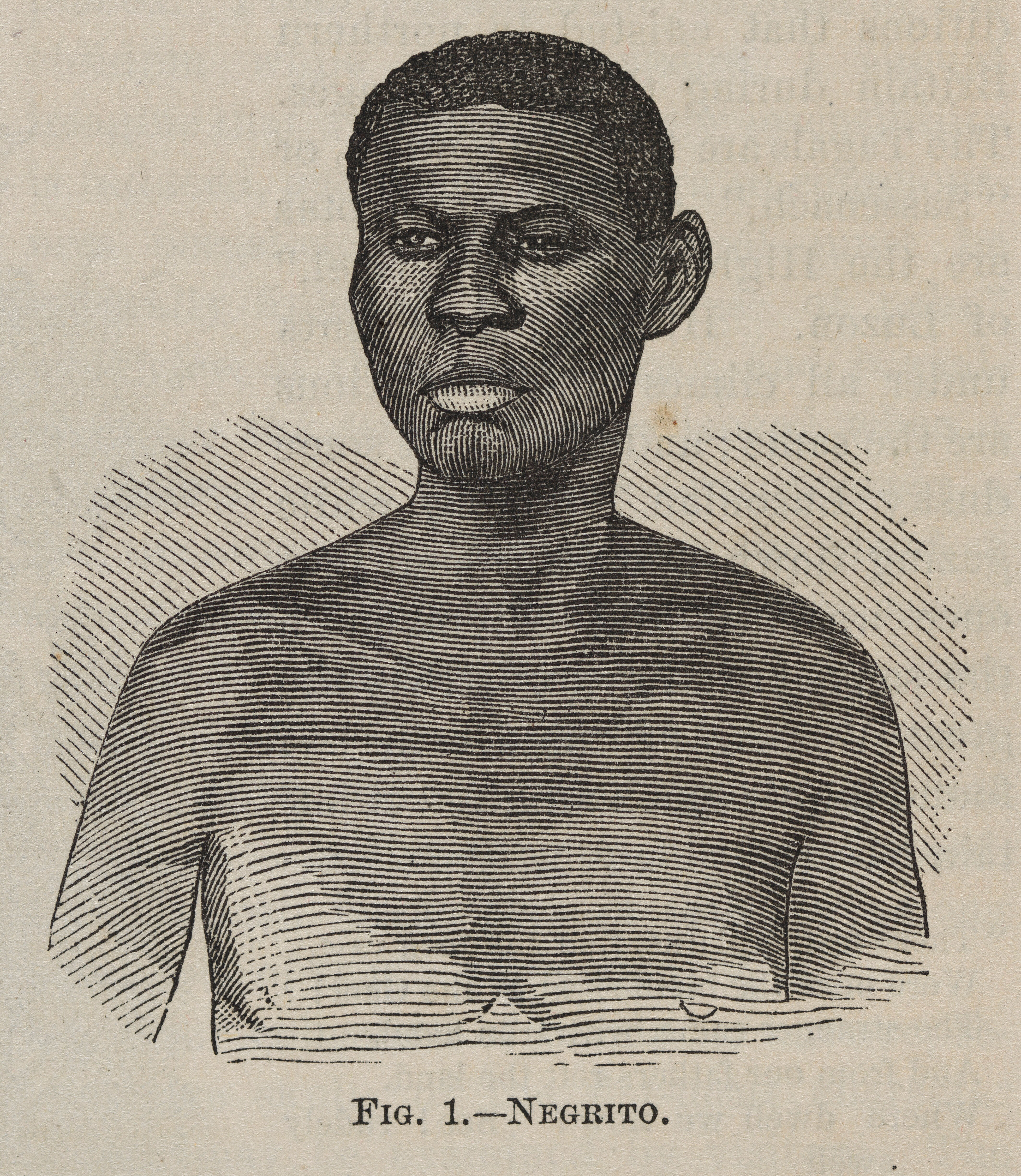 "Fig. 1 - Negrito" The phrenological journal, 1870. | Wellcome Collection