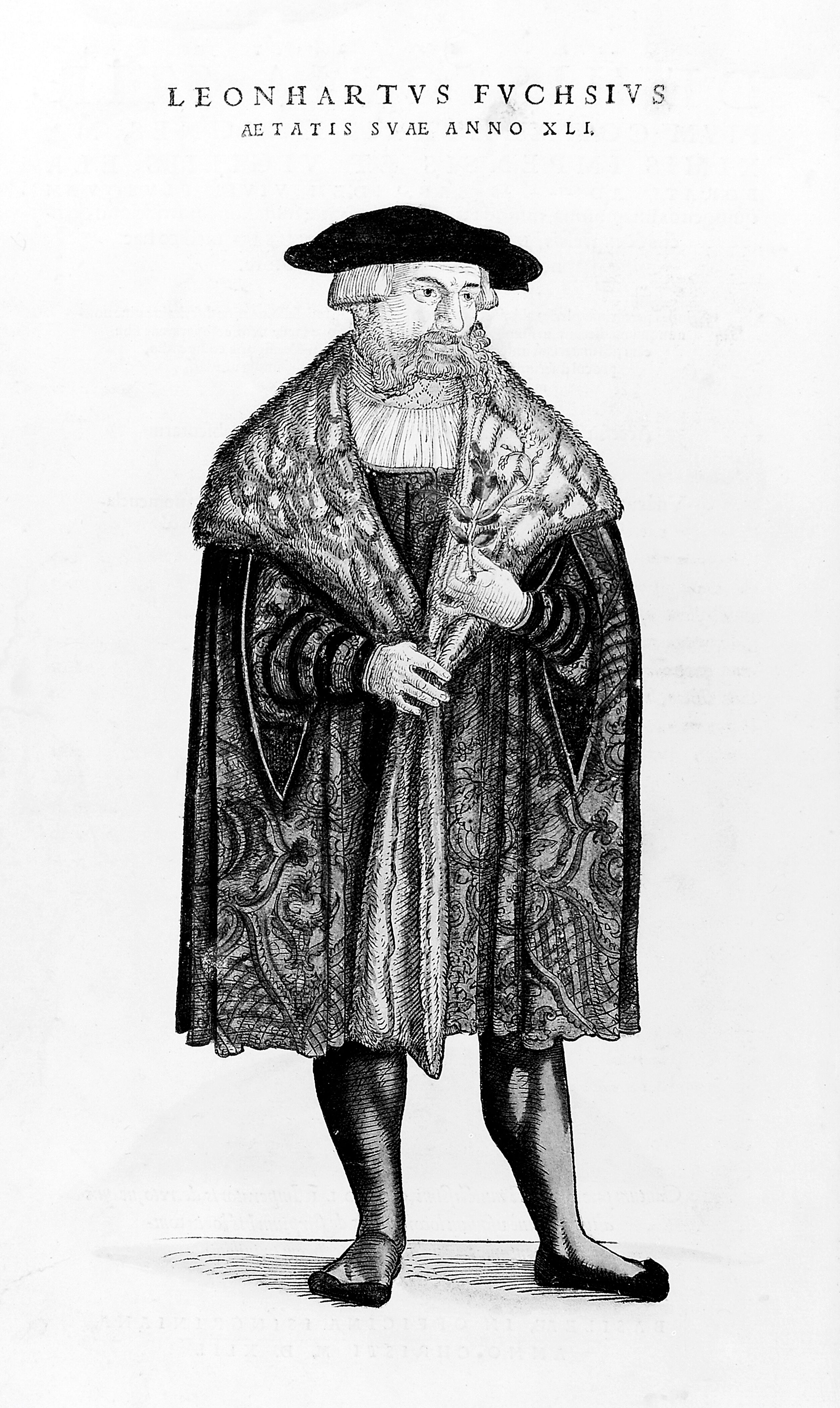 M0009466: Illustration of Leonhart Fuchs, from De historia stirpium ...