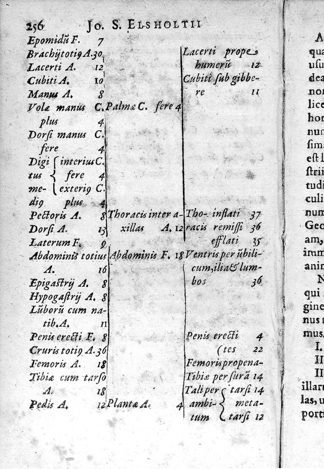 Elsholtz, Johann Sigismund, 1623-1688 | Wellcome Collection