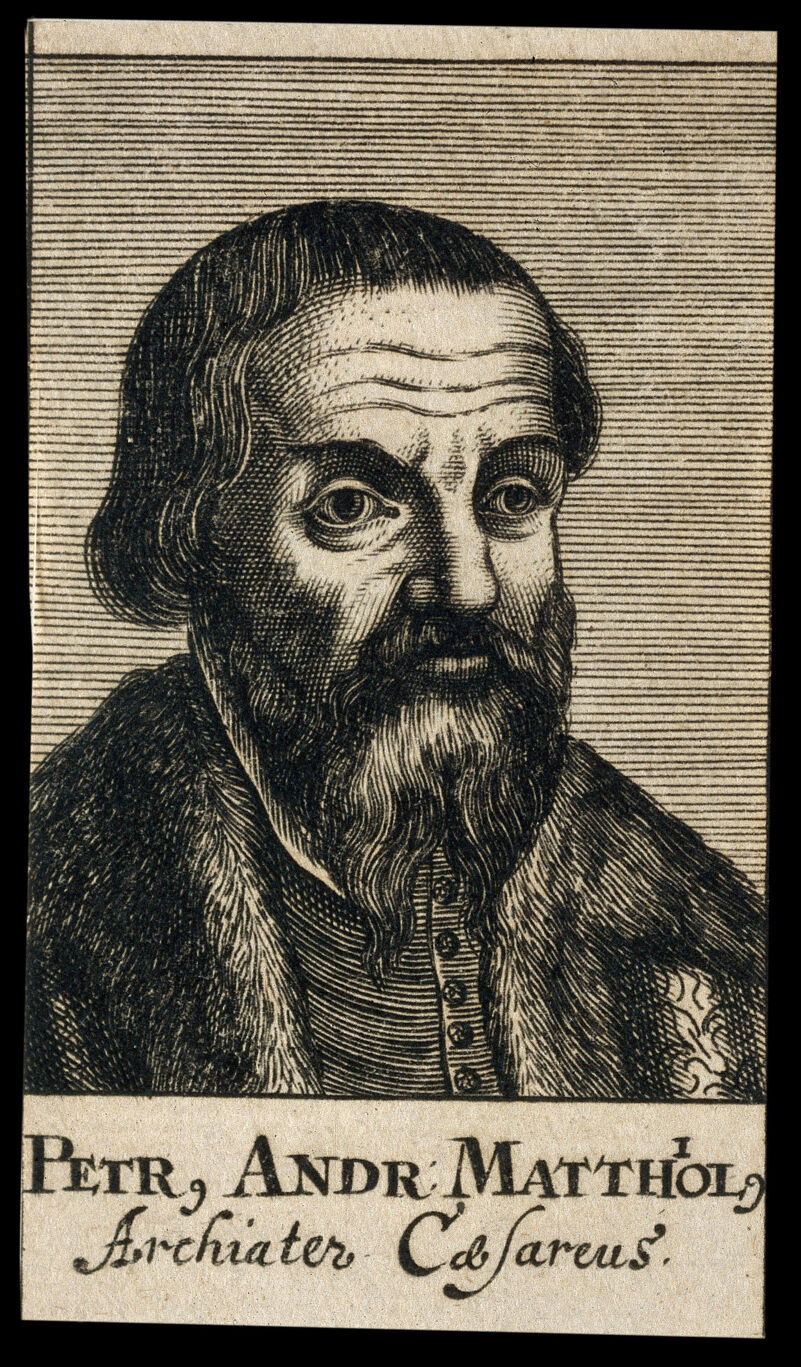 Pietro Andrea Mattioli. Line engraving, 1688. | Wellcome Collection