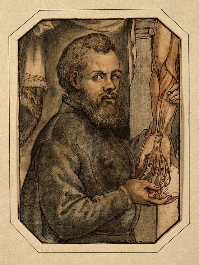 Andreas Vesalius. Watercolour. | Wellcome Collection
