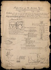 Proportions of the human body: annotated illustrations of the human ...