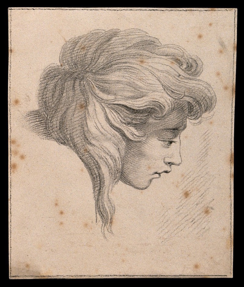 Profile of a boy which, according to Lavater, exemplifies Raphael's ...