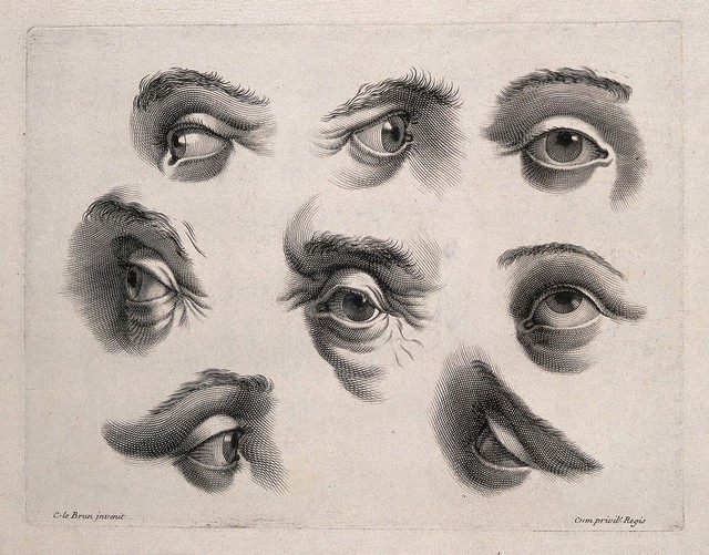 Eight eyes. Engraving after C. Le Brun. | Wellcome Collection