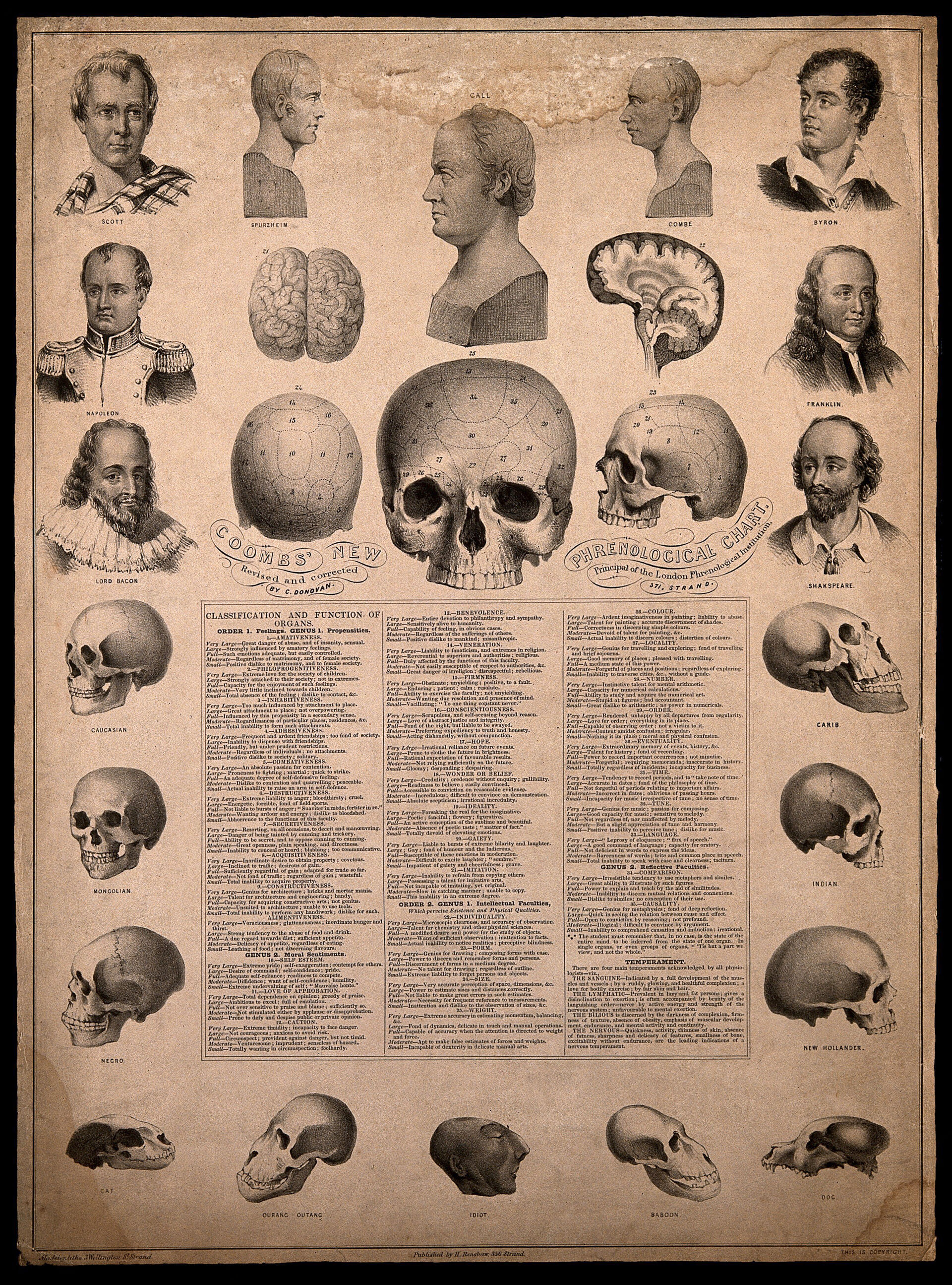 Craniology | Wellcome Collection
