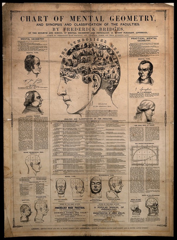Phrenological chart; with design of head containing symbols of the ...