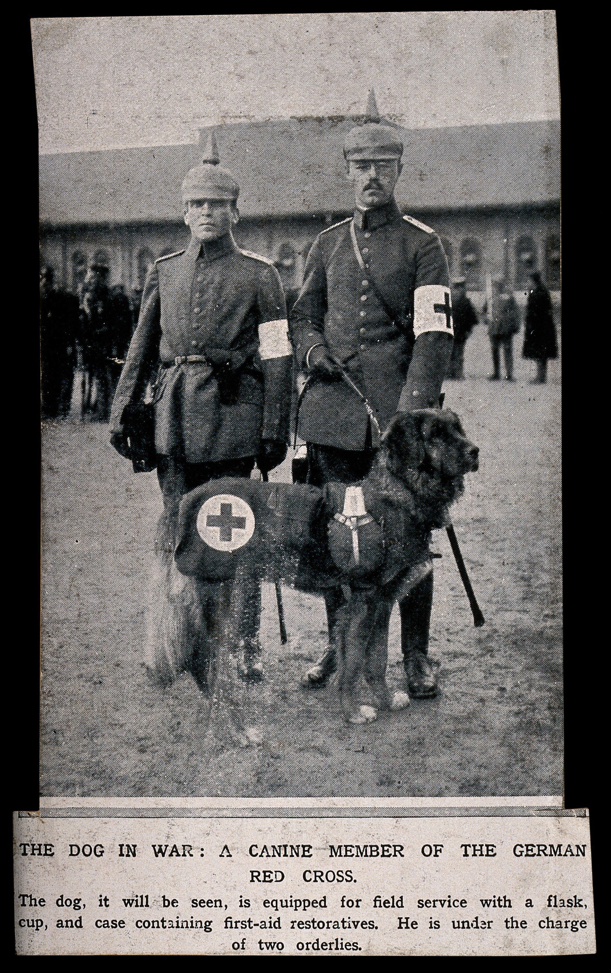 World War One: two orderlies and a working dog of the German Red Cross ...