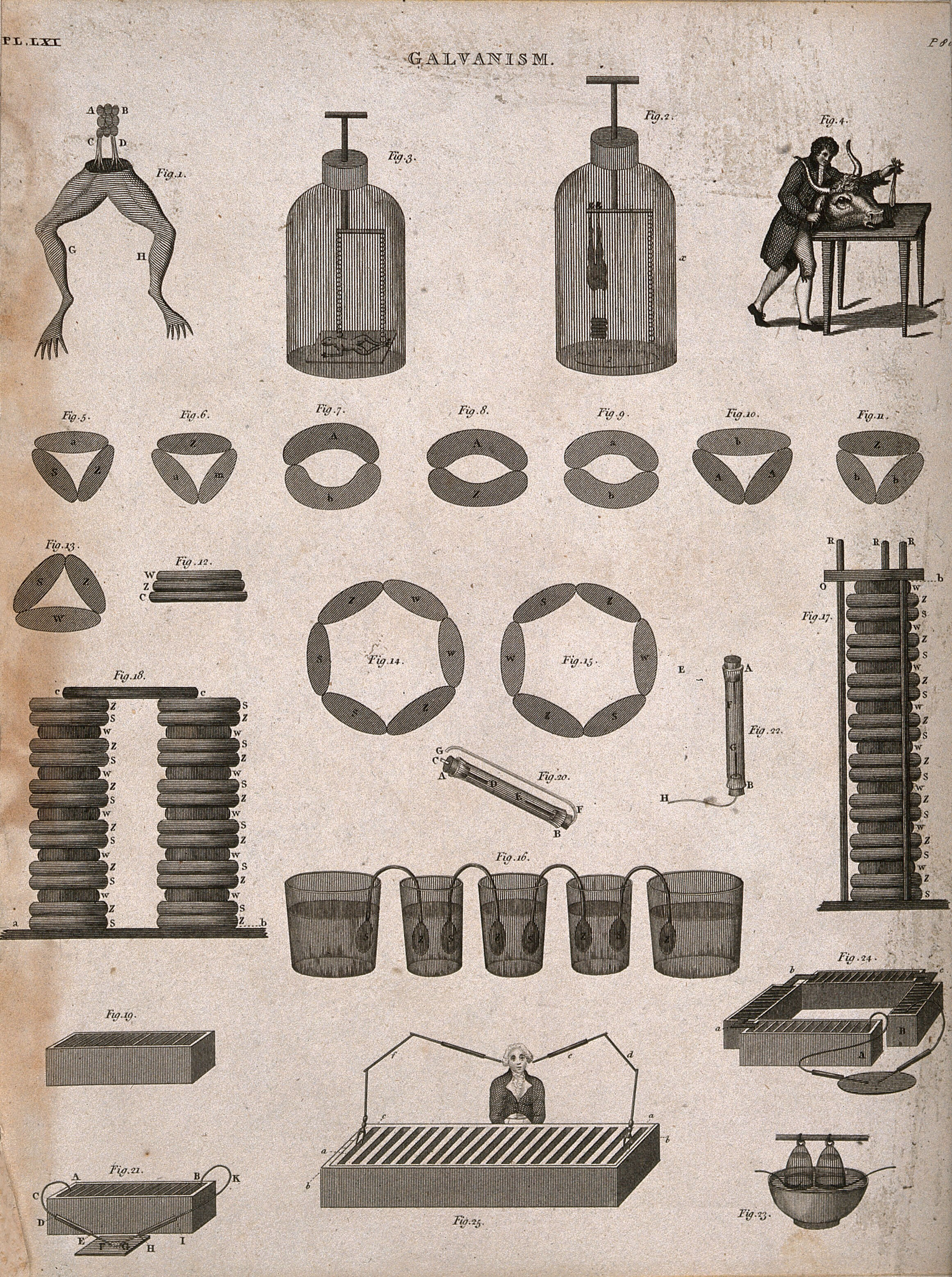 Galvanism: 25 figures illustrating experiments and instruments ...