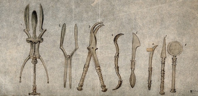 A selection of ancient Roman surgical instruments, discovered at ...