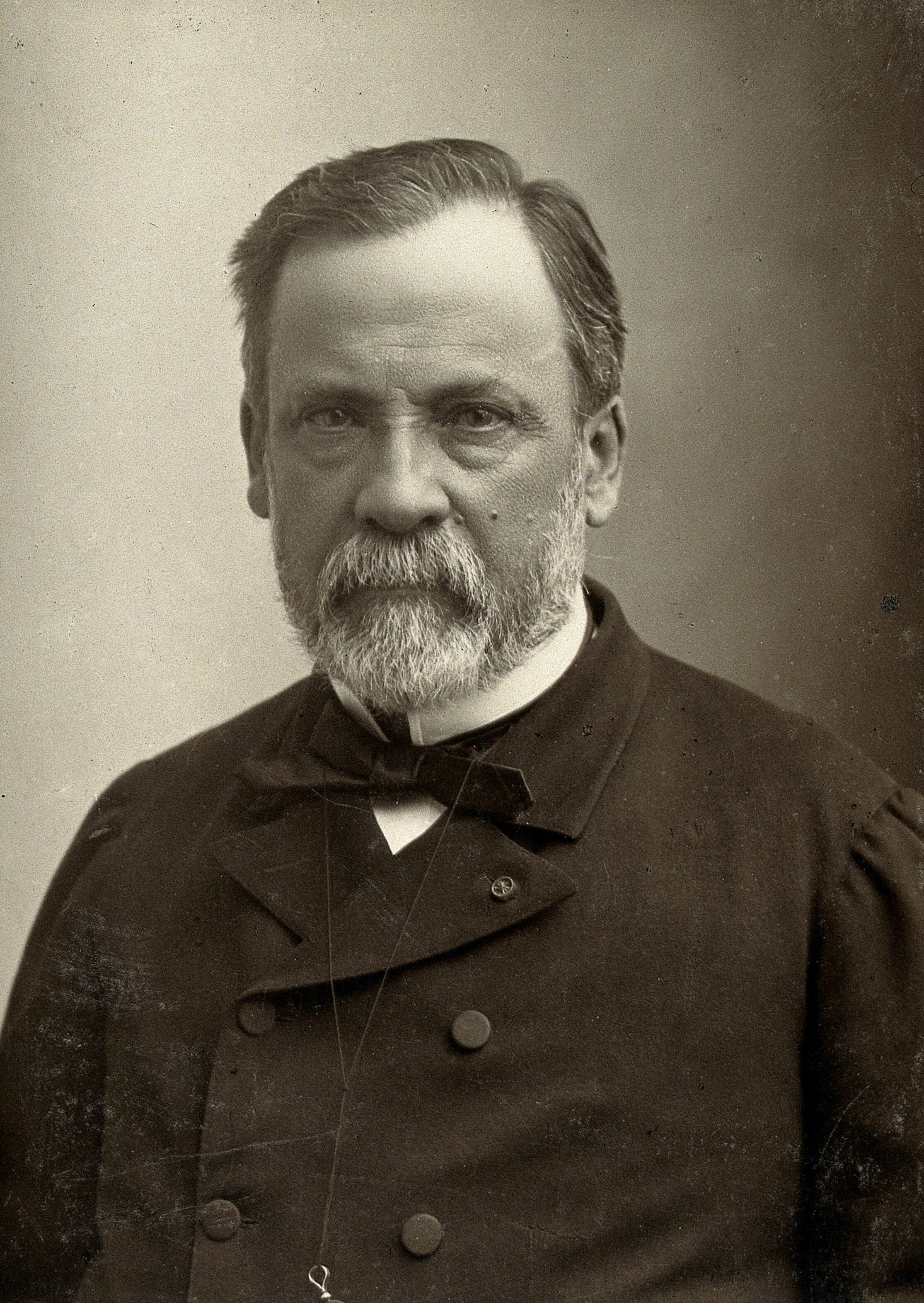 Louis Pasteur. Photograph by Nadar. | Wellcome Collection