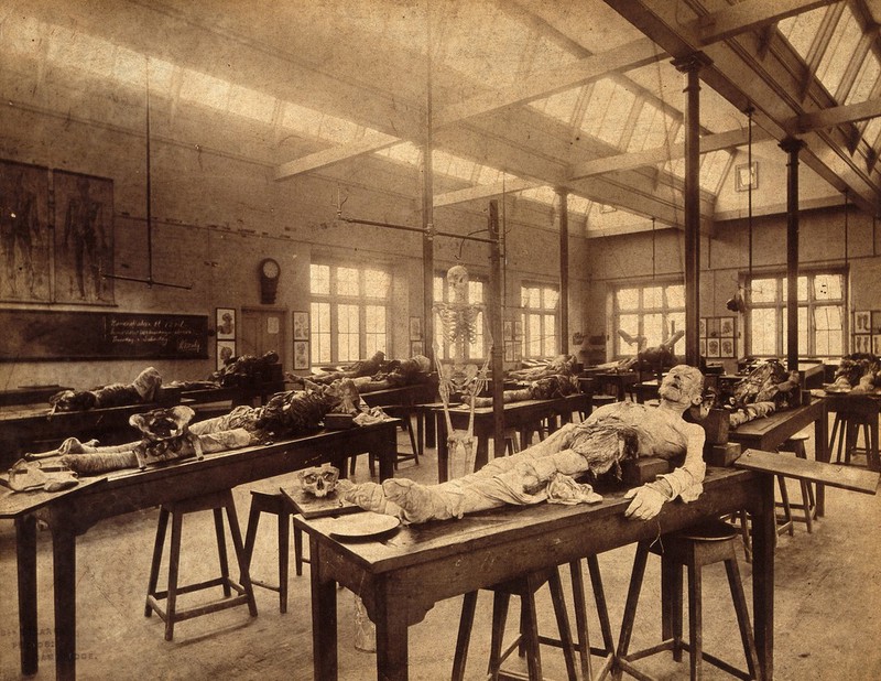 The interior of the Department of Anatomy at Cambridge University ...