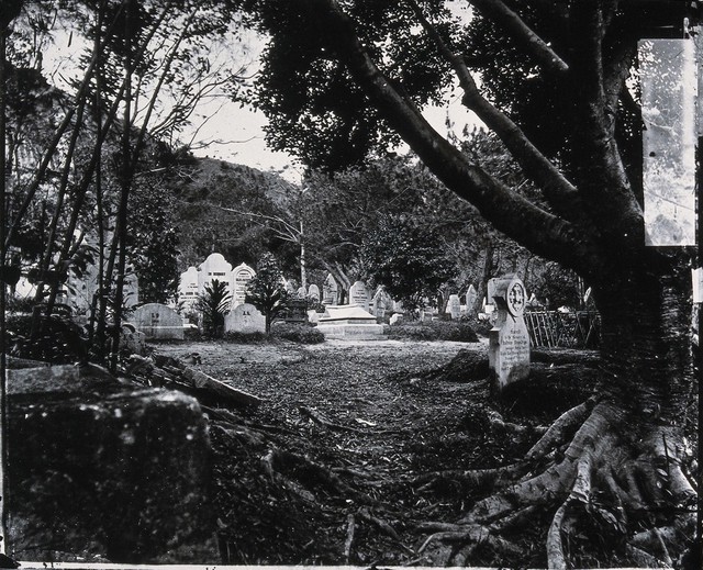 Cemetery, Happy Valley, Hong Kong. Photograph, 1981, from a negative by ...