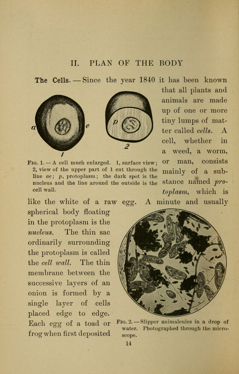 The human body and health : an elementary text-book of essential ...