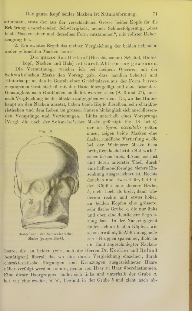 Schiller's Schadel und Todtenmaske : nebst Mittheilungen uber Schadel ...