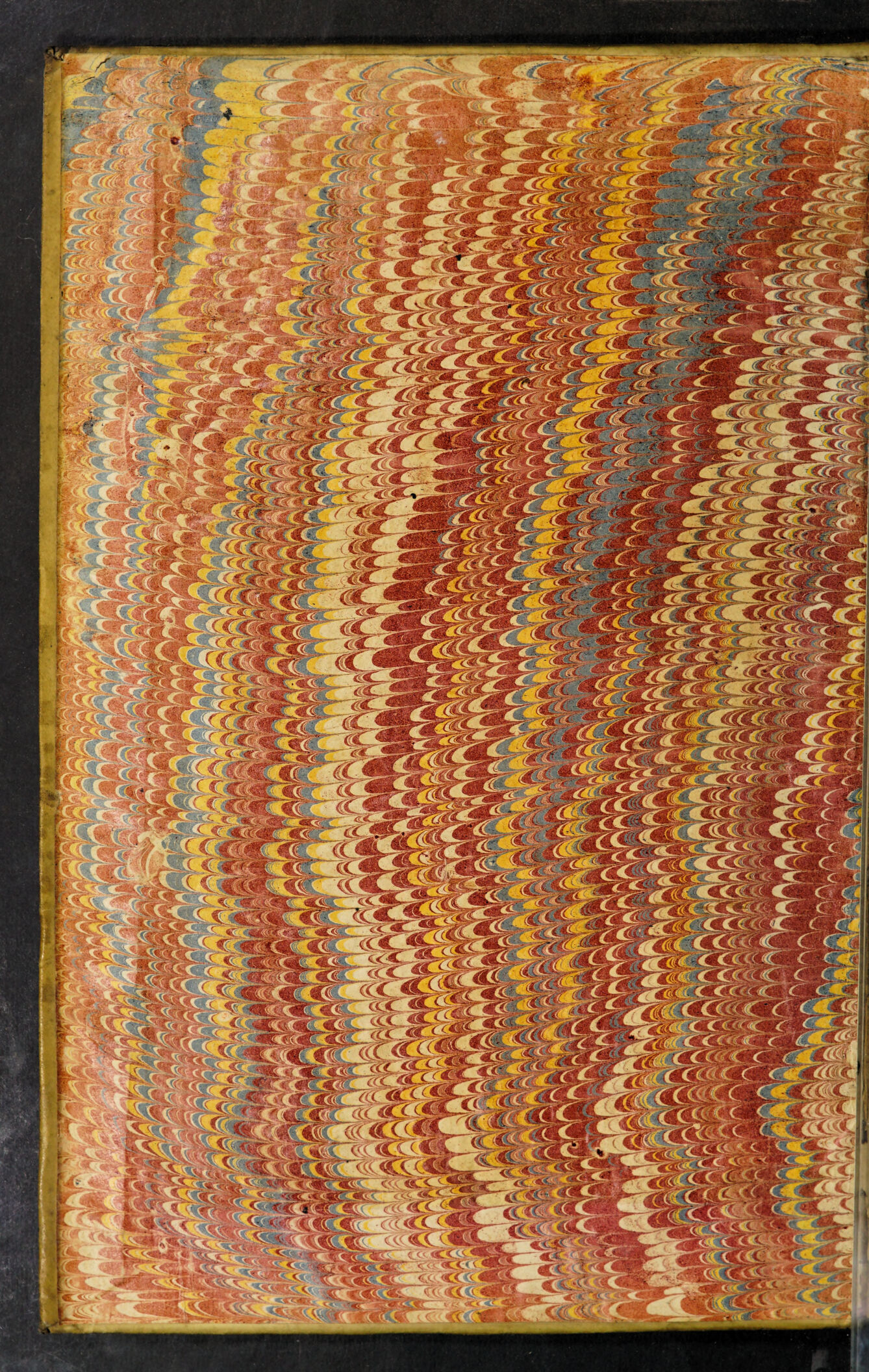 Insectorum sive minimorum animalium theatrum / olim ab Edoardo Wottono ...