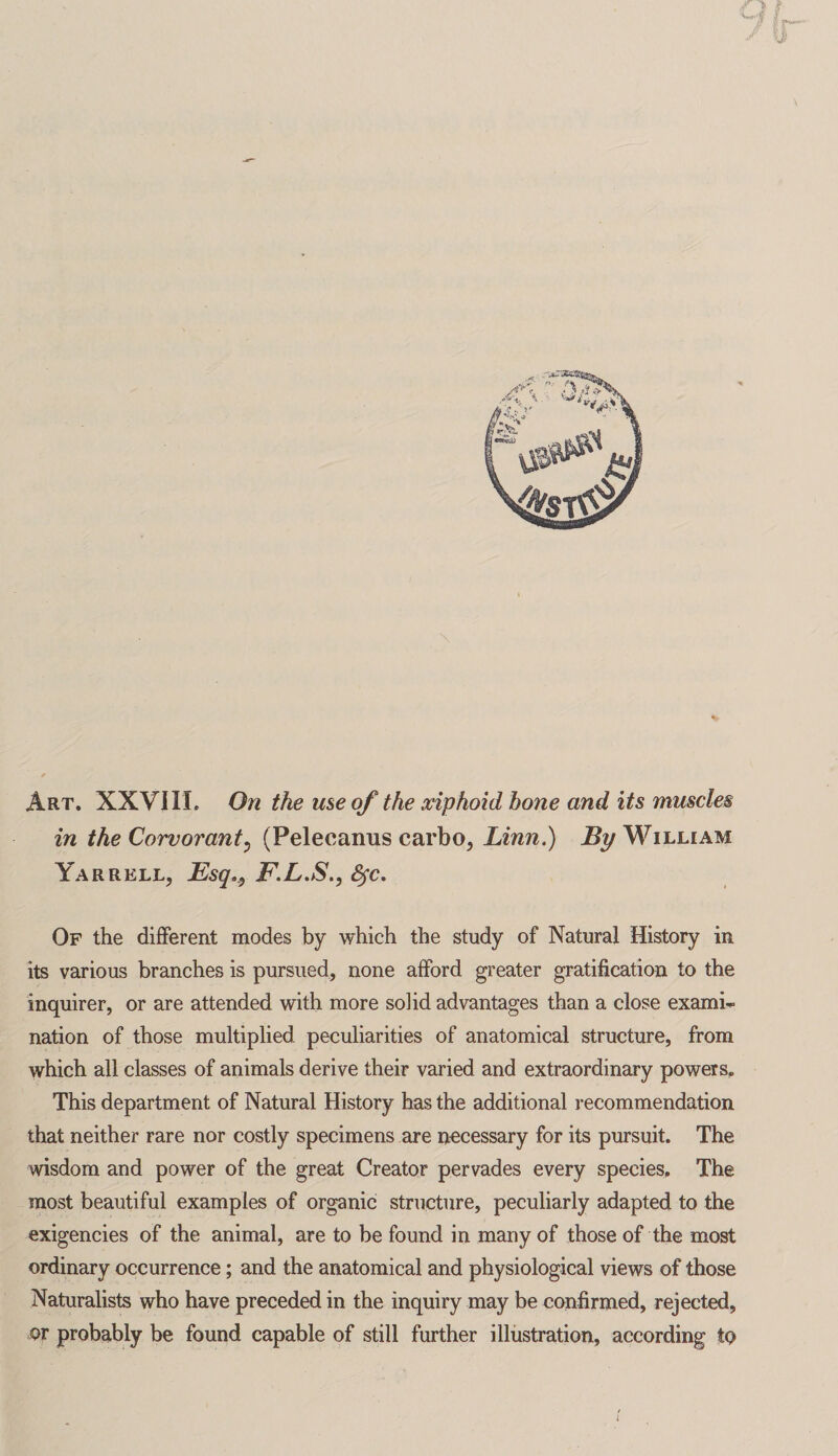 On the use of the xiphoid bone and its muscles in the corvorant [sic ...