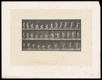A woman picking up a ball and throwing. Collotype after Eadweard ...